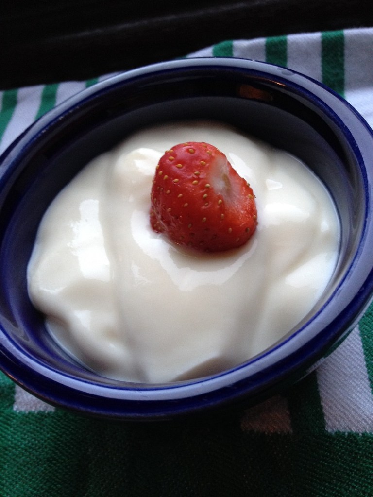 Easiyo Dairy Vanilla Yoghurt a la Thermomix (TM31) – Me and My Thermie